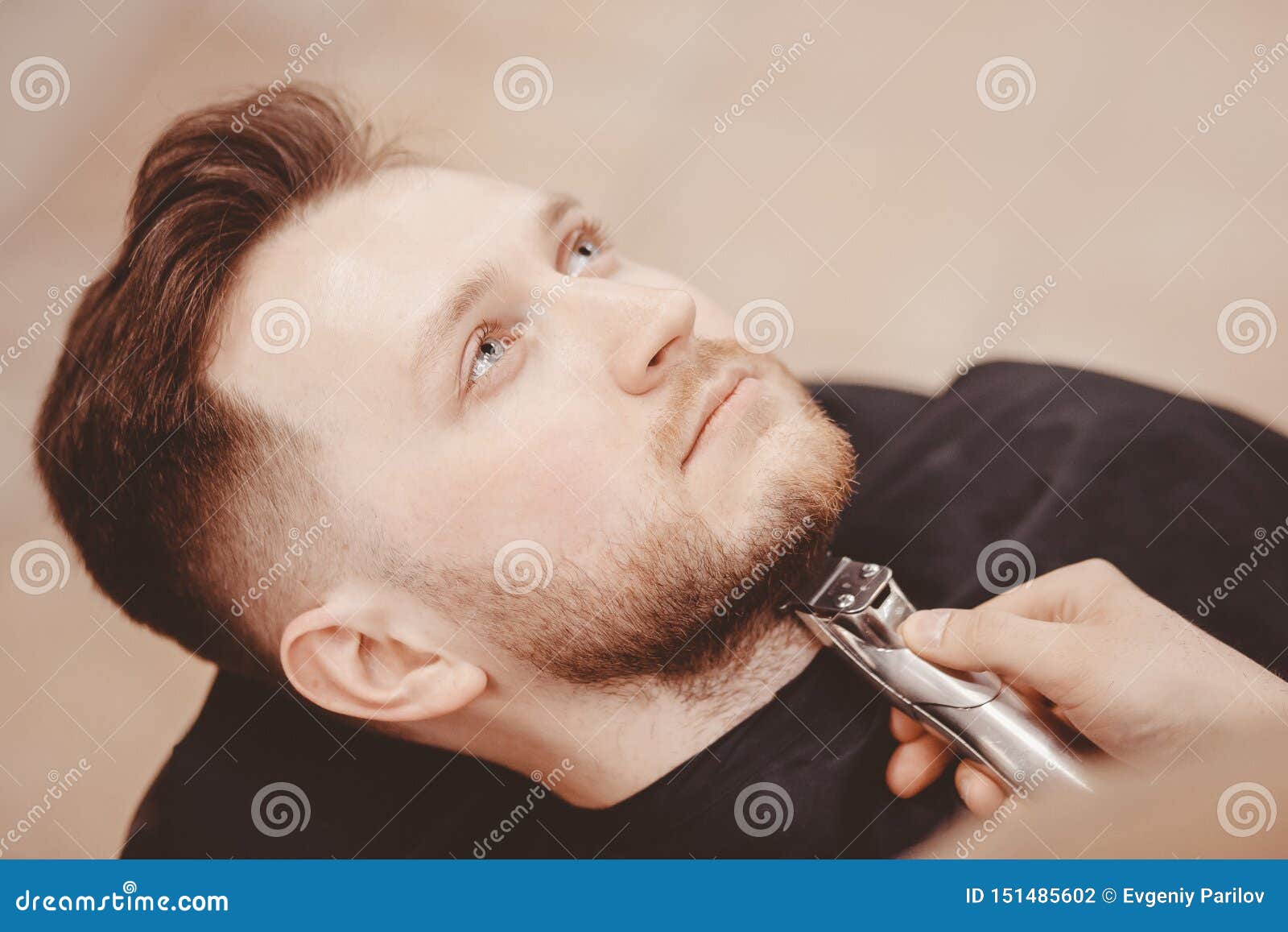 Man Barber Shaves Beard of Client on Chair Barbershop Stock Photo ... Man Barber Shaves Beard of Client on Chair Barbershop Stock Photo ...