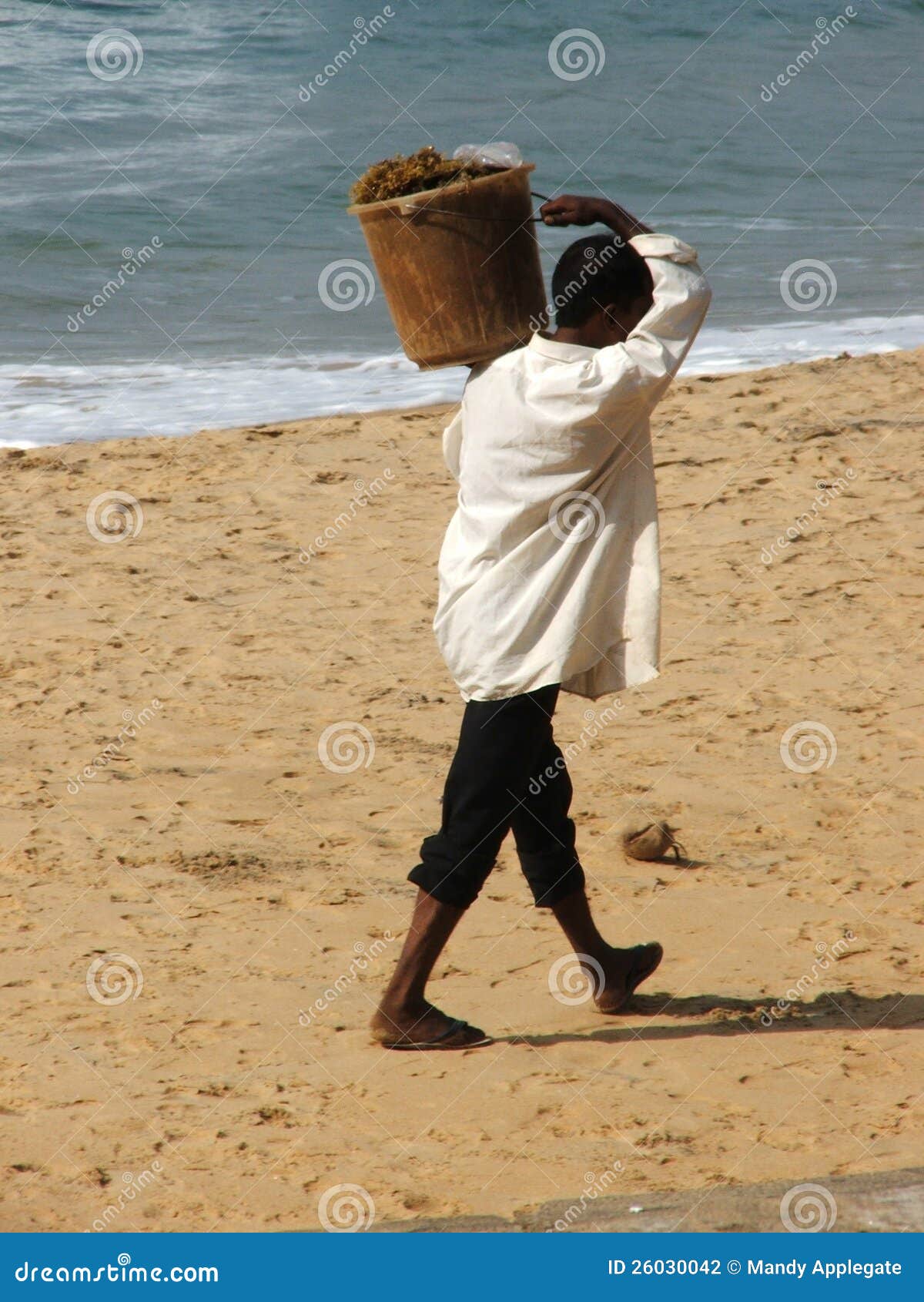 Man on Beach after Tsunami 2004 Editorial Photography - Image of ...