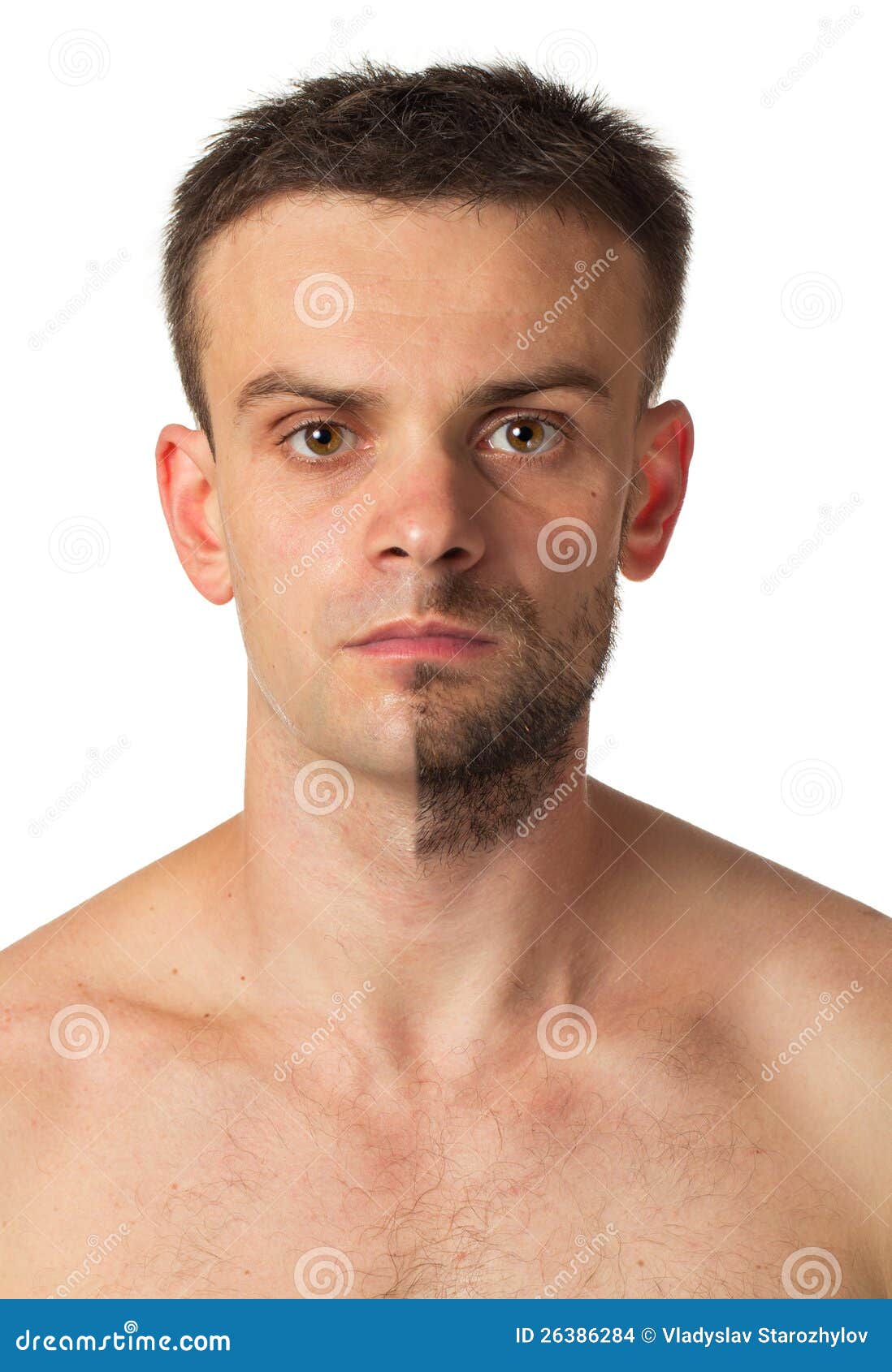 Man with a beard on half stock photo. Image of hidden - 26386284