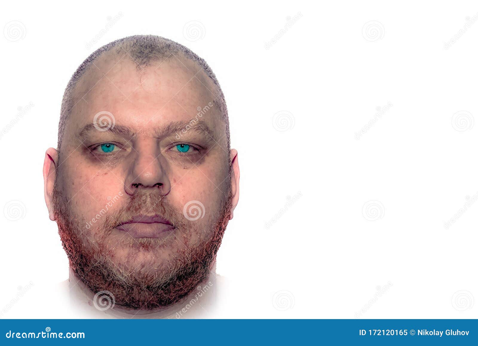 Man with Beard 43 Years Portrait. Isolate on White Background Stock ...