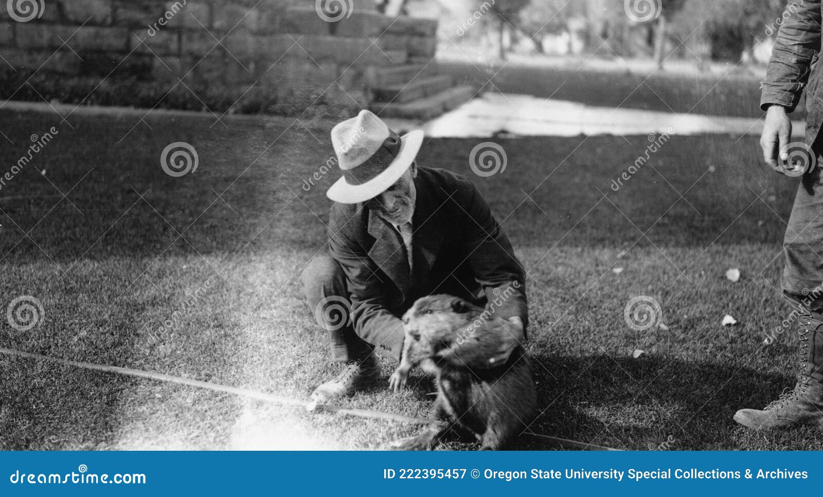 Man With Beaver Picture. Image: 222395457