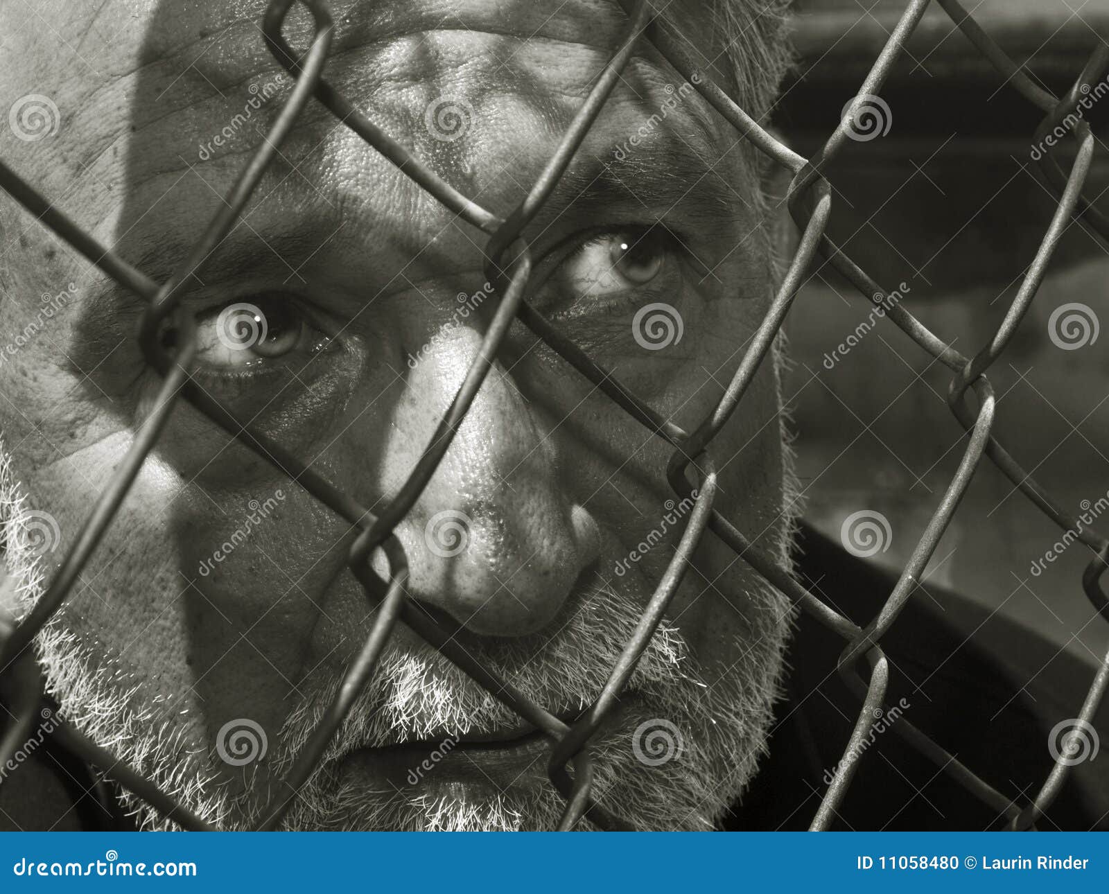 Man Behind the Cage stock photo. Image of adult, handsome - 11058480