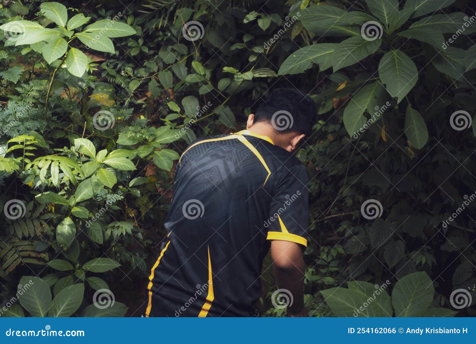 A Man, Alone in a Lush Forest Stock Photo - Image of green, happy ...