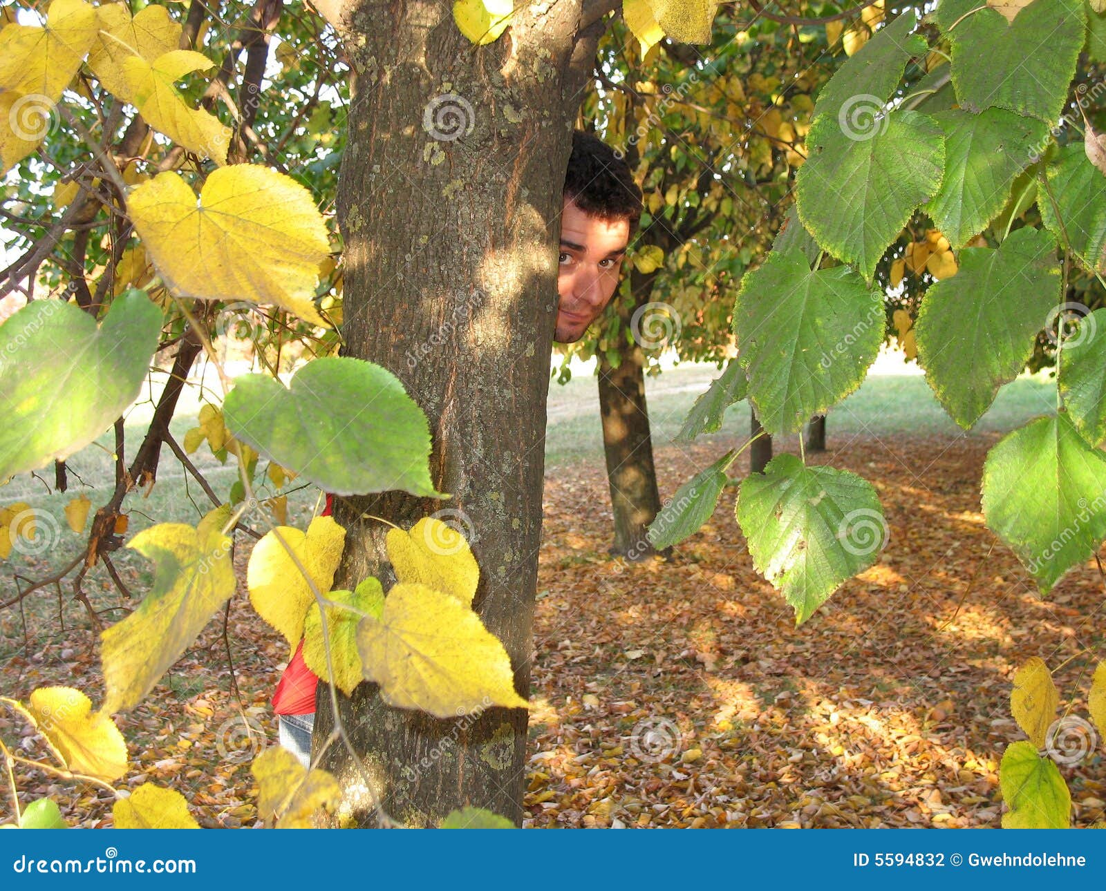 Man Behind the Tree stock photo. Image of environmental - 5594832