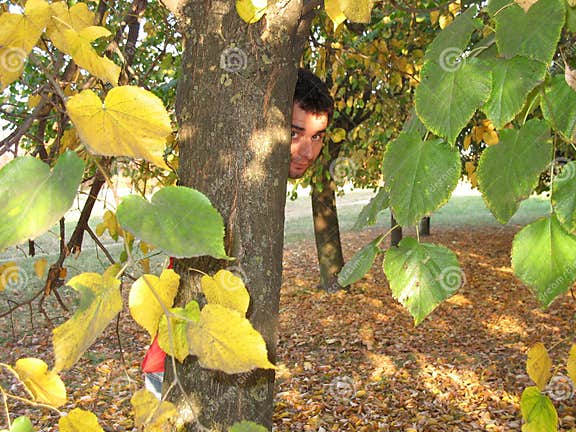 Man Behind the Tree stock photo. Image of environmental - 5594832