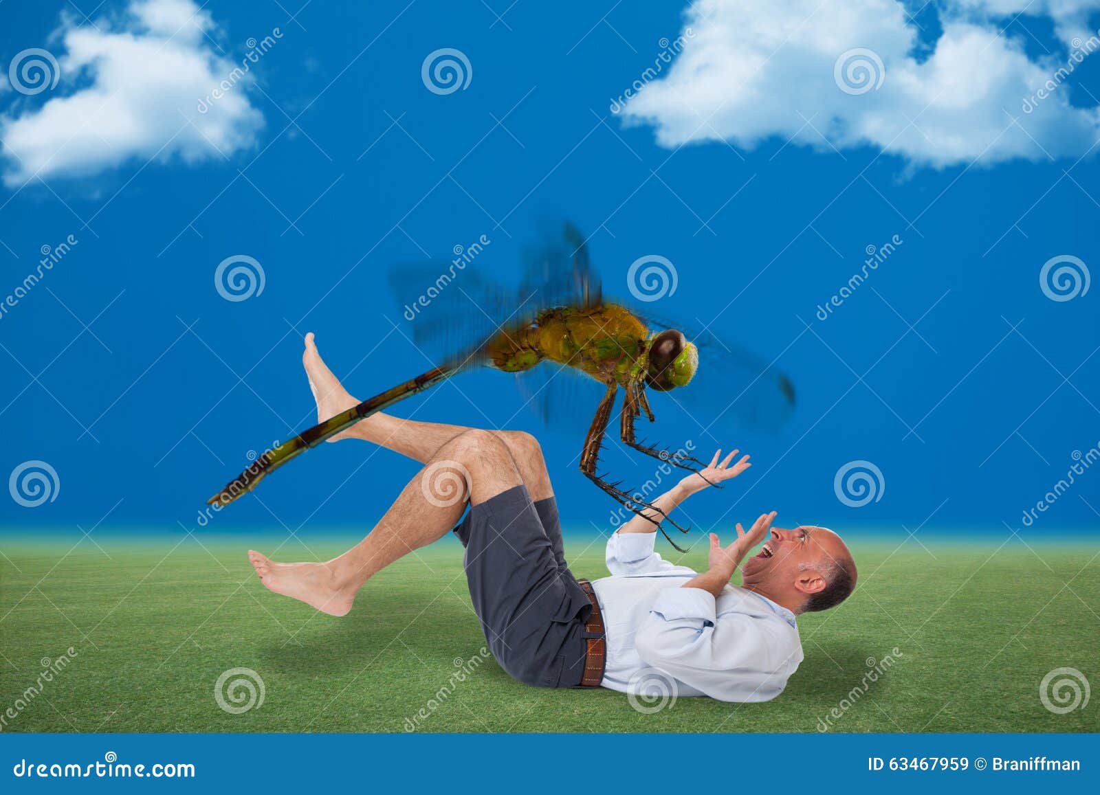 Man Being Attacked by a Dragon Fly Stock Image - Image of insect, color ...