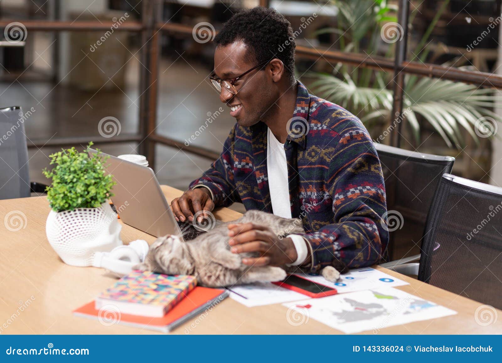 Man Being Distracted by His Cat while Working Stock Photo - Image of ...