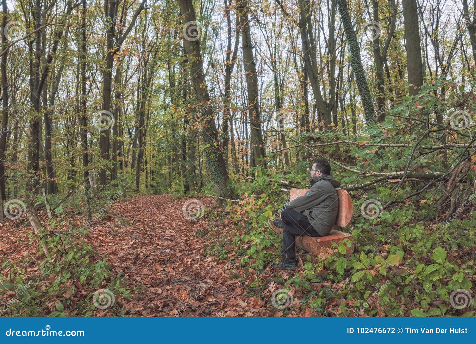 Man on bench in forest stock photo. Image of beauty - 102476672