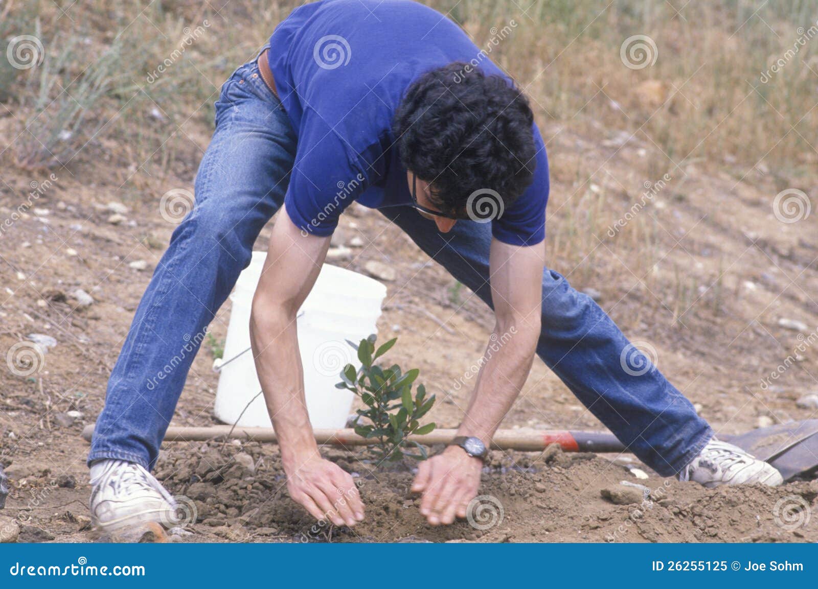 A Man Bending Down and Planting a Small Tree Editorial Image - Image of ...
