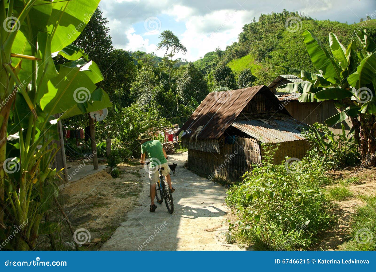 Man on Bicycle in Ethnic Village Editorial Image - Image of rice, asia ...