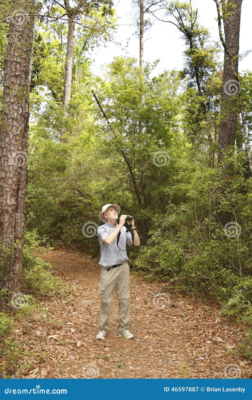 Man with Binoculars Birdwatching on a Forest Trail Stock Image - Image ...