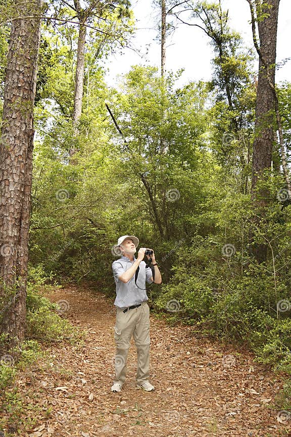 Man with Binoculars Birdwatching on a Forest Trail Stock Image - Image ...