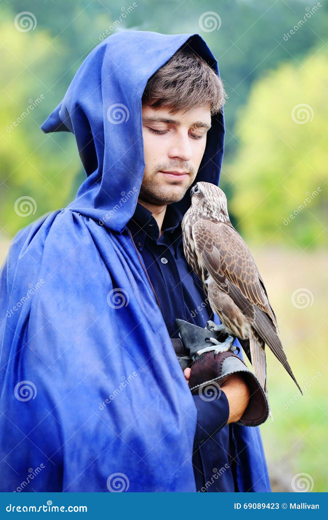 Man with the bird stock image. Image of cloak, glove - 69089423