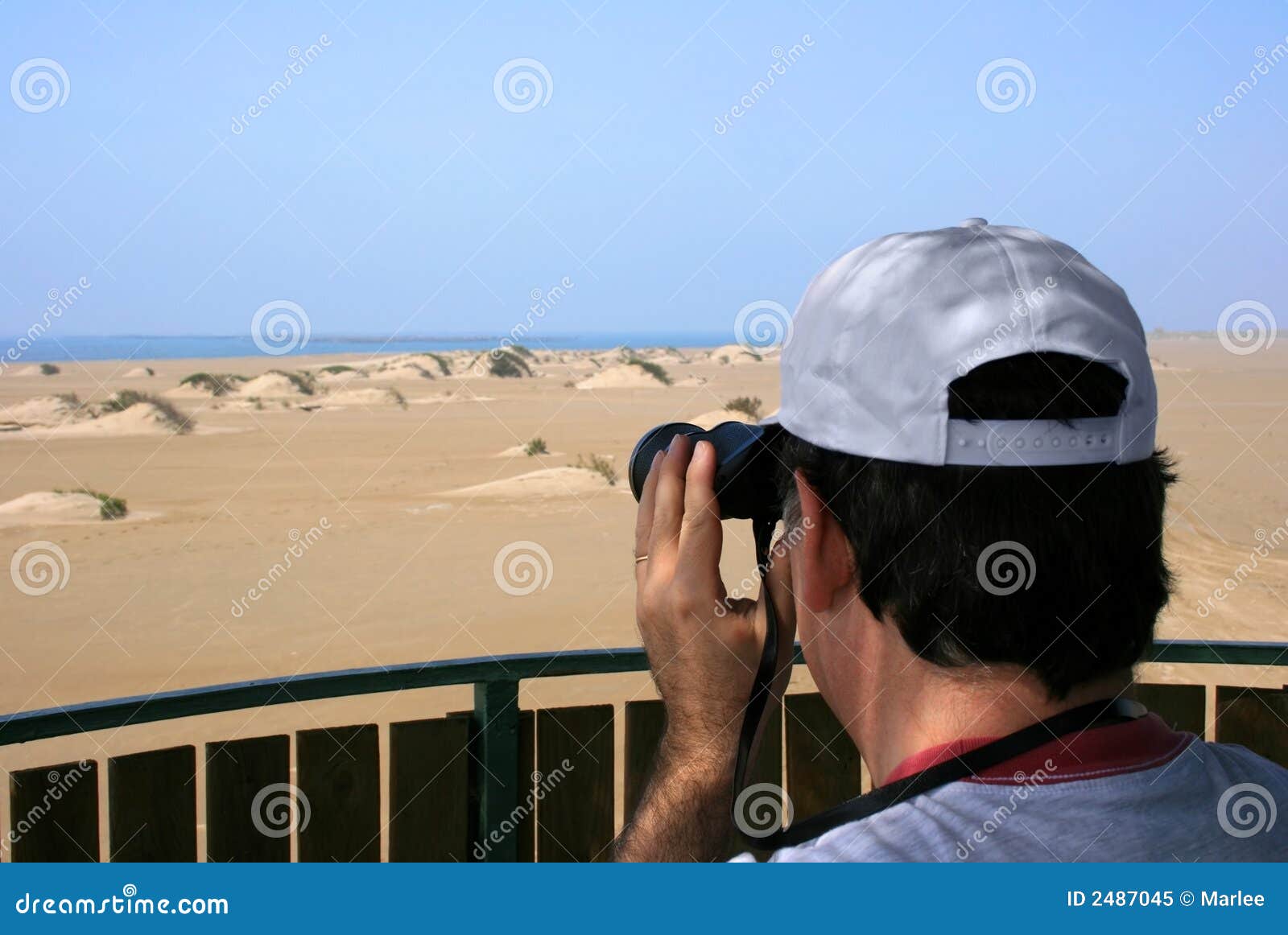 Man birdwatching stock image. Image of birdwatch, observe - 2487045