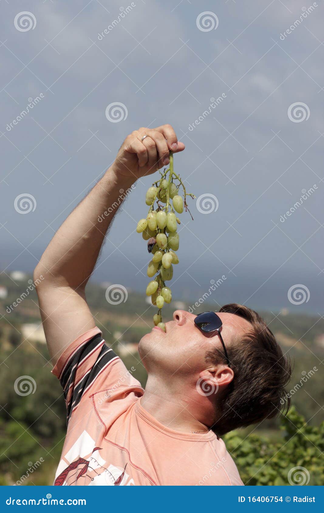 Man bites grape stock photo. Image of farm, farmers, grapes - 16406754