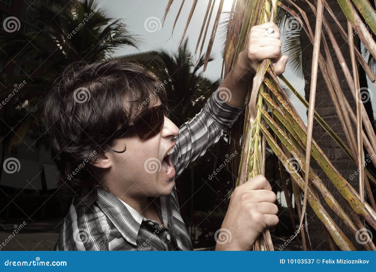 Man Biting a Palm Tree Frond Stock Image - Image of branch, attractive ...