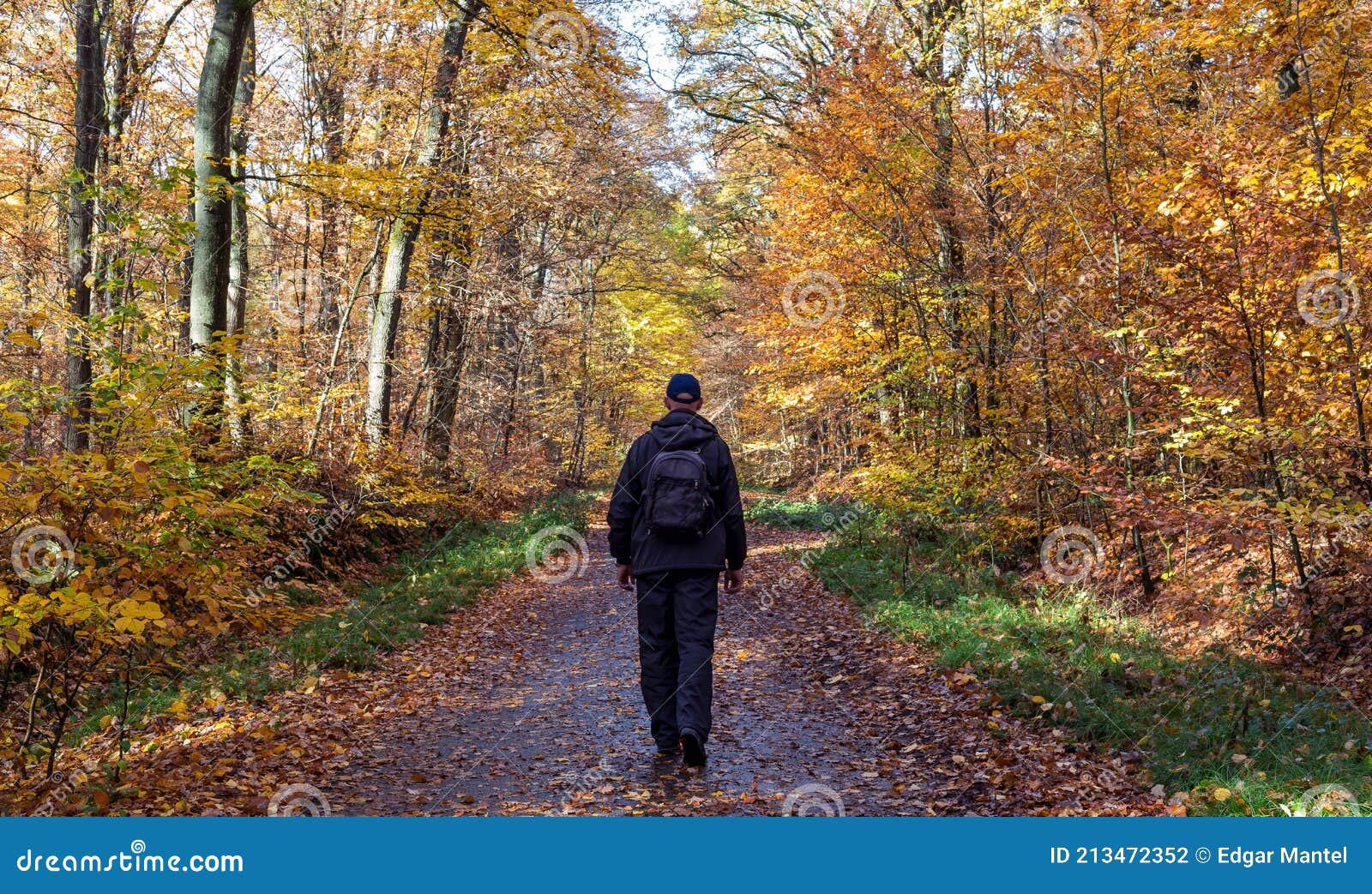 Man in Black Walking Alone in a Colorful Autumn Forest Editorial ...