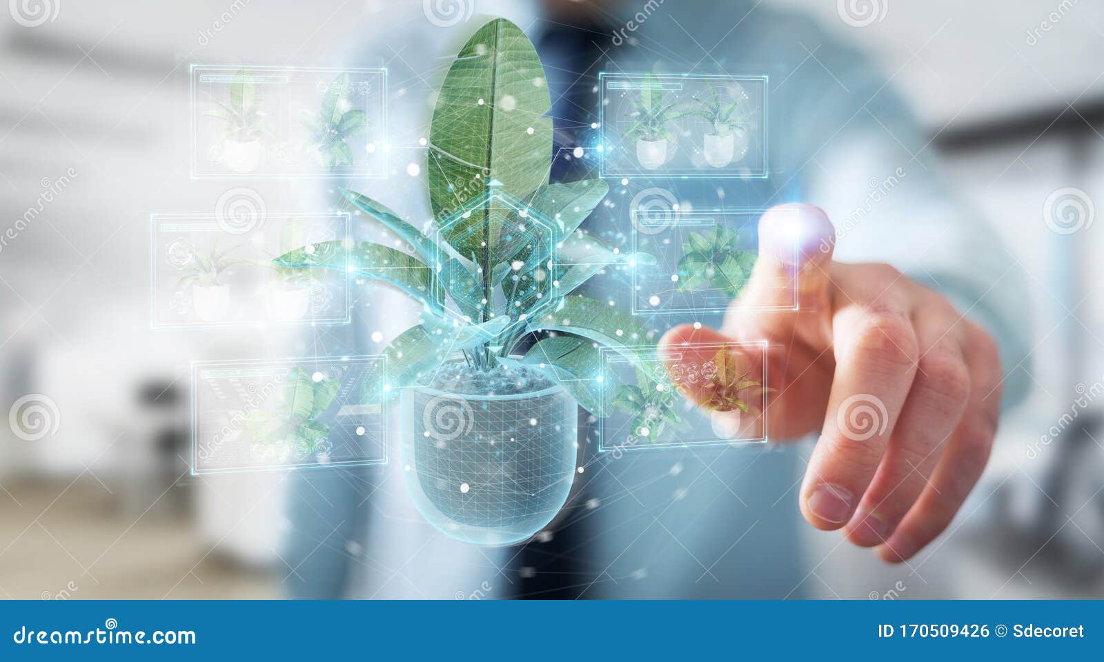 Man Holding and Touching Holographic Projection of a Plant with Digital ...