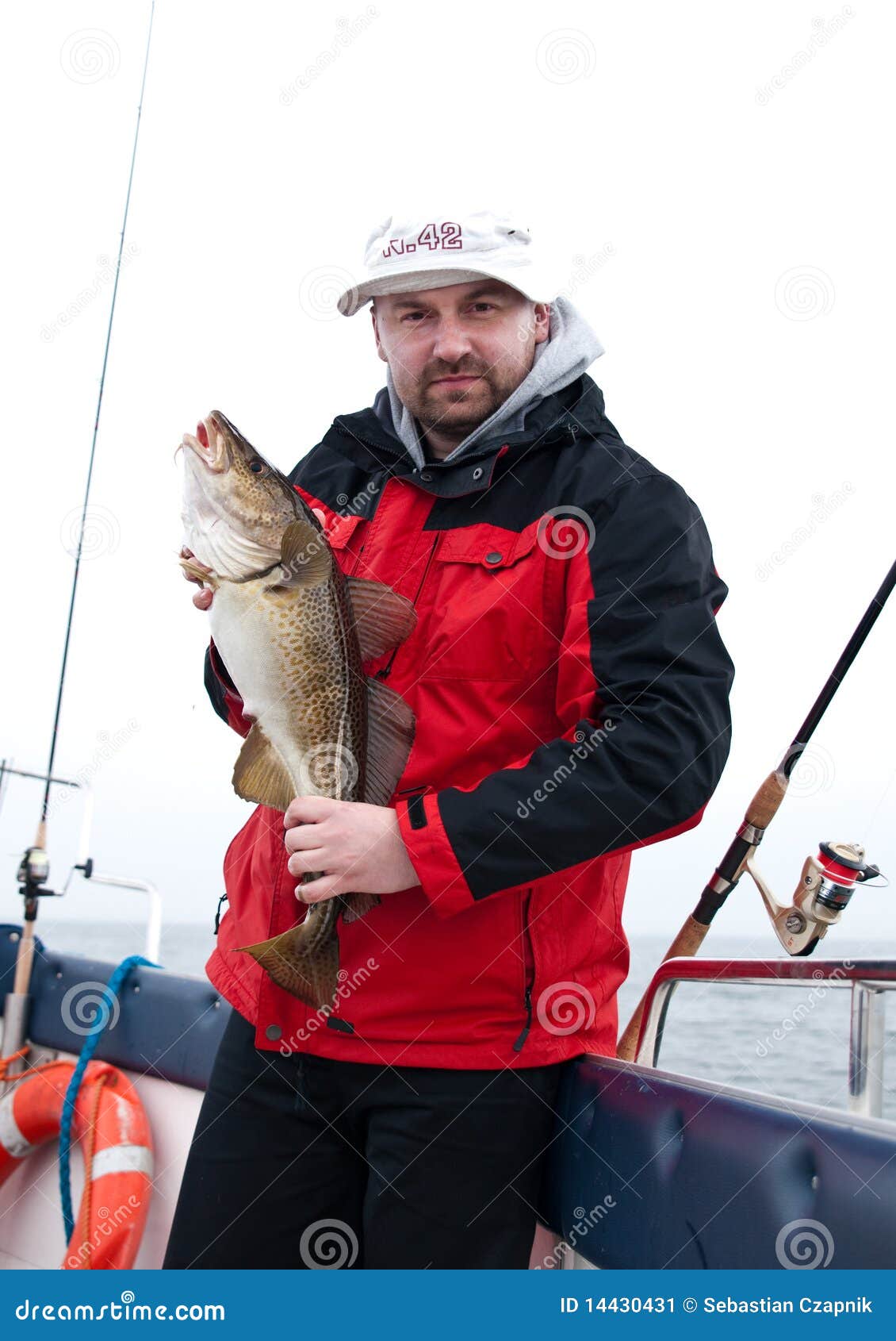 Man on boat with cod fish stock image. Image of sport - 14430431