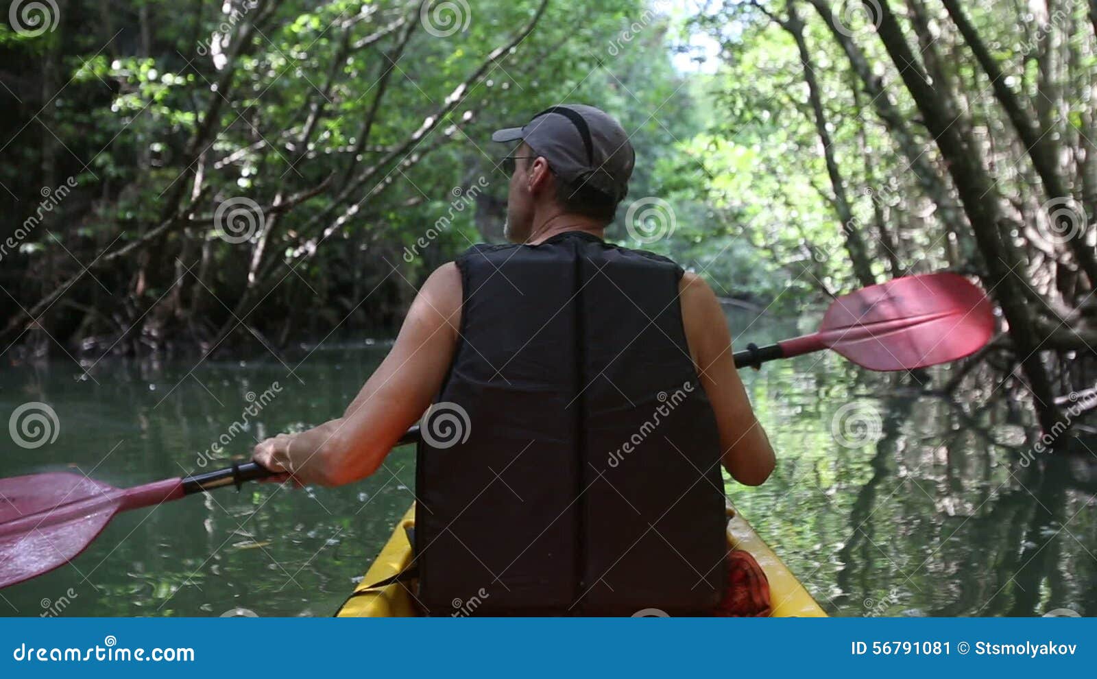 Man Boating in Kayak Along Lagoon Stock Video - Video of forest ...