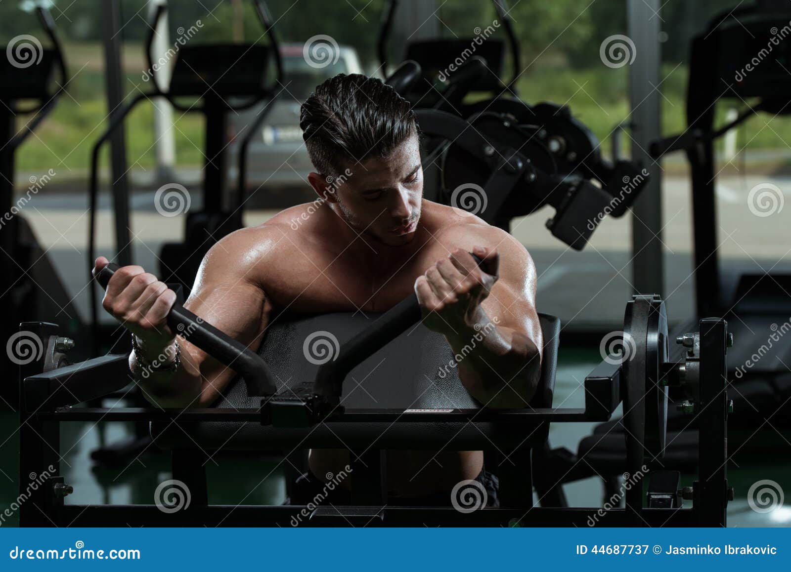 Man Bodybuilder Doing Exercise for Biceps Stock Image - Image of muscle ...