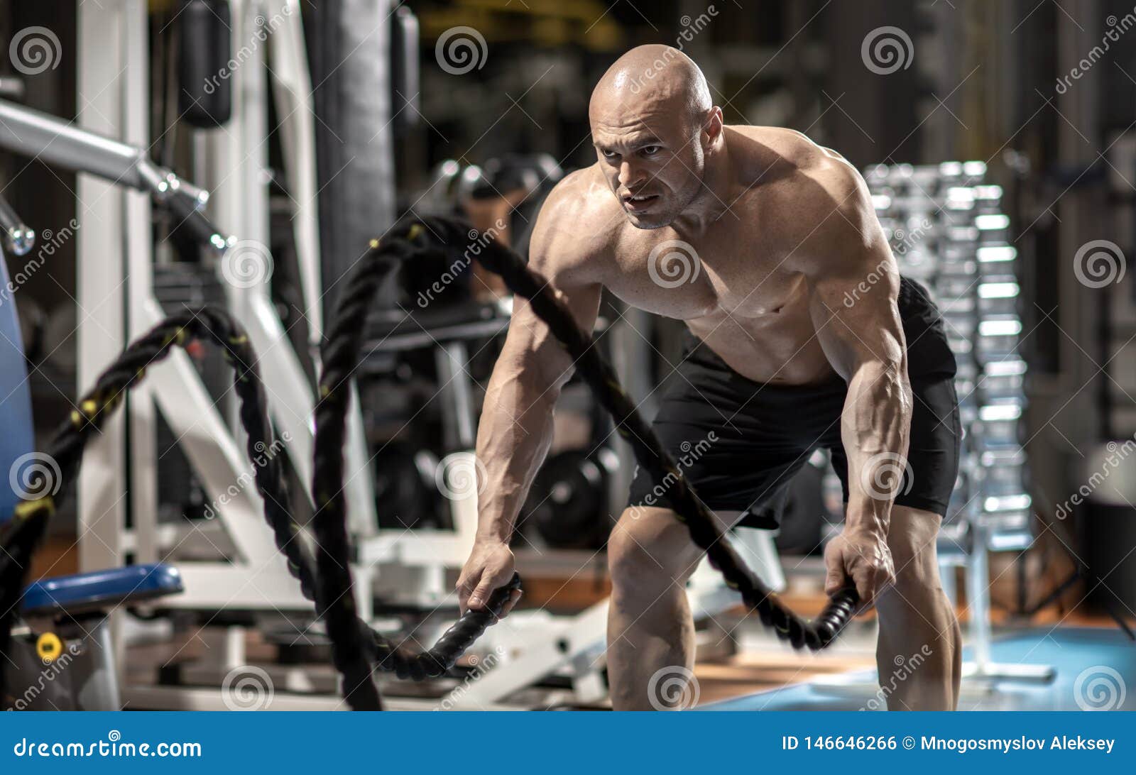 Man Bodybuilder Perform Exercise Stock Photo - Image of lifestyle ...