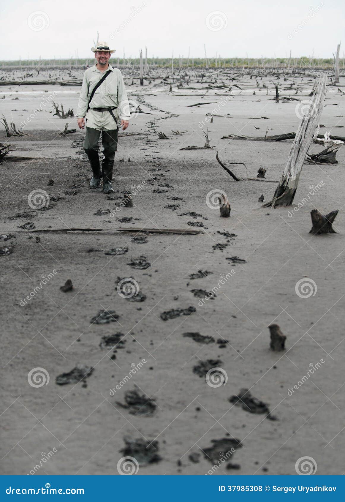 Man on a bog stock photo. Image of danger, natural, ornithology - 37985308