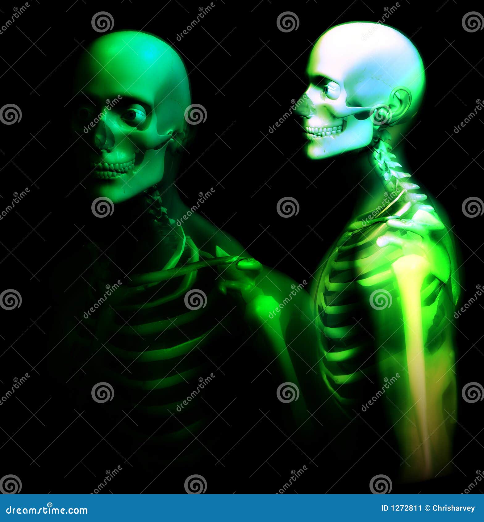 Man Bone 25 stock illustration. Illustration of death - 1272811