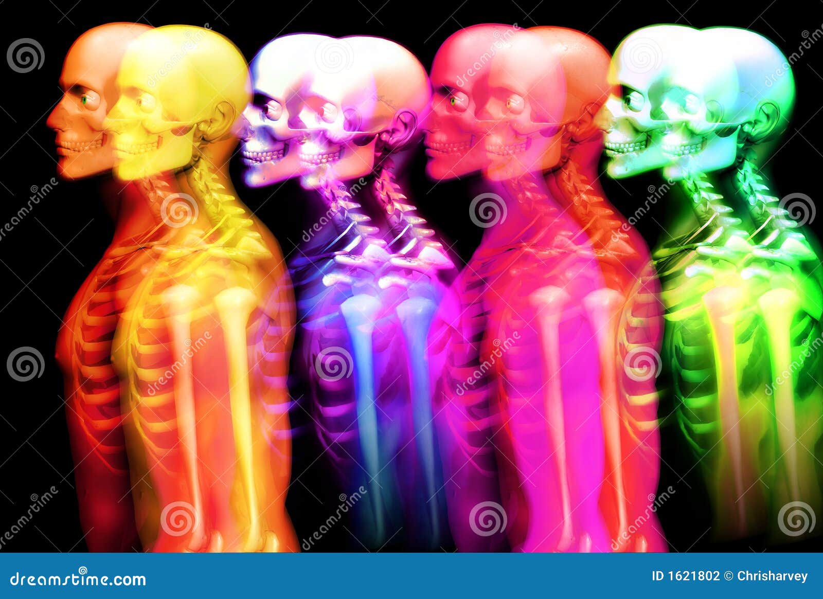 Man Bone 3 stock photo. Image of heath, death, fear, blue - 1621802