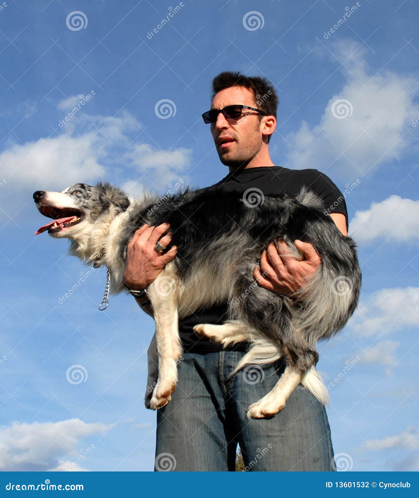 Man and border collie stock photo. Image of sunglasses - 13601532