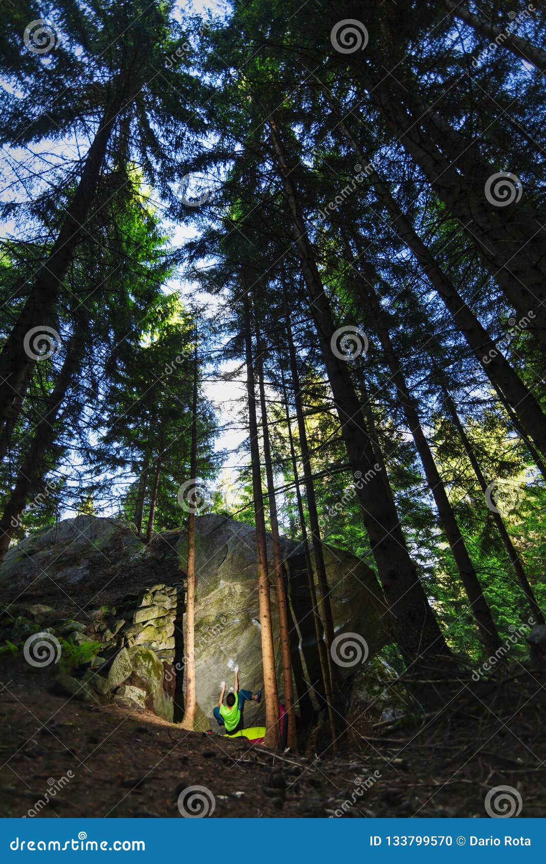 Forest Climbing Awesome Scenery Stock Photo - Image of boulder, forest ...