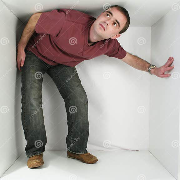 Man in a box stock photo. Image of shirt, fear, learner - 1550026