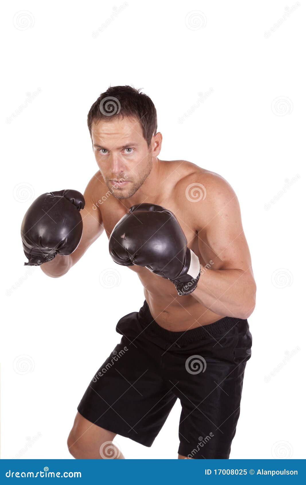 Man boxer stock image. Image of handsome, fight, macho - 17008025