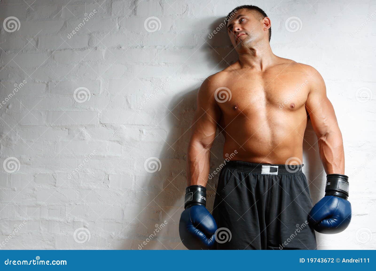 The Man the Boxer at a Wall Stock Photo - Image of arts, competitive ...