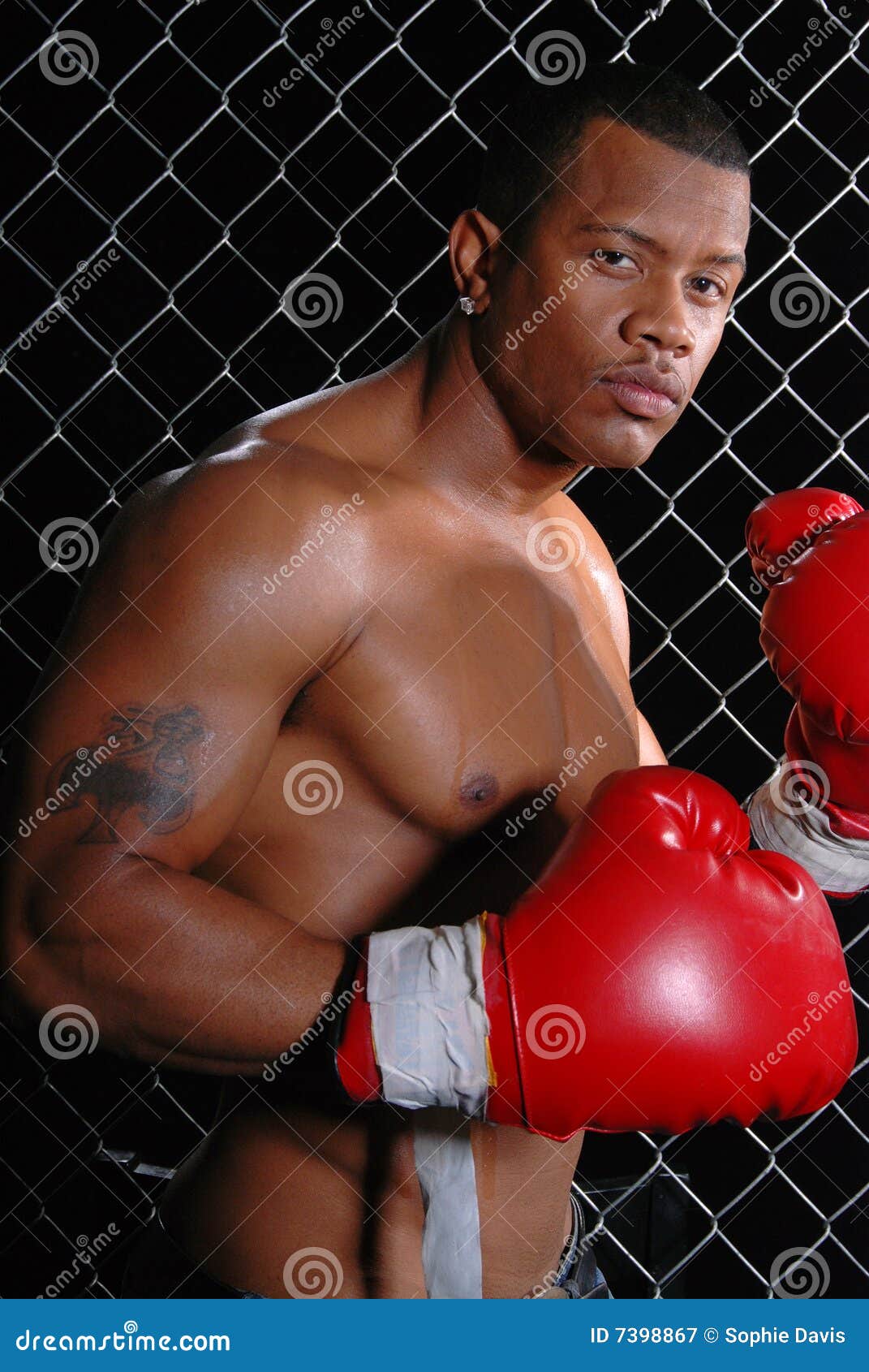 Man Boxing. stock image. Image of pectorals, built, body - 7398867