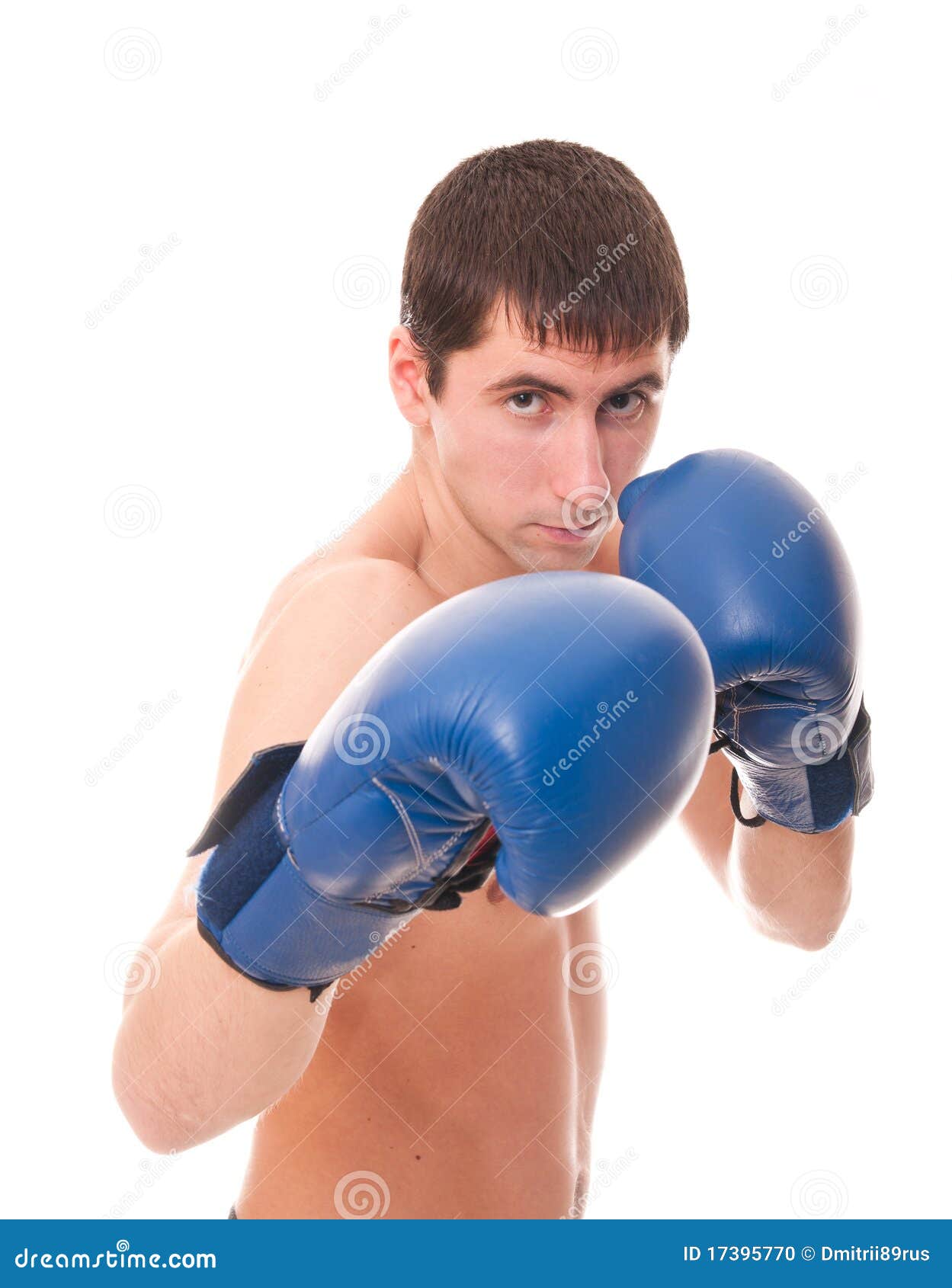 Man in a boxing gloves stock photo. Image of championship - 17395770