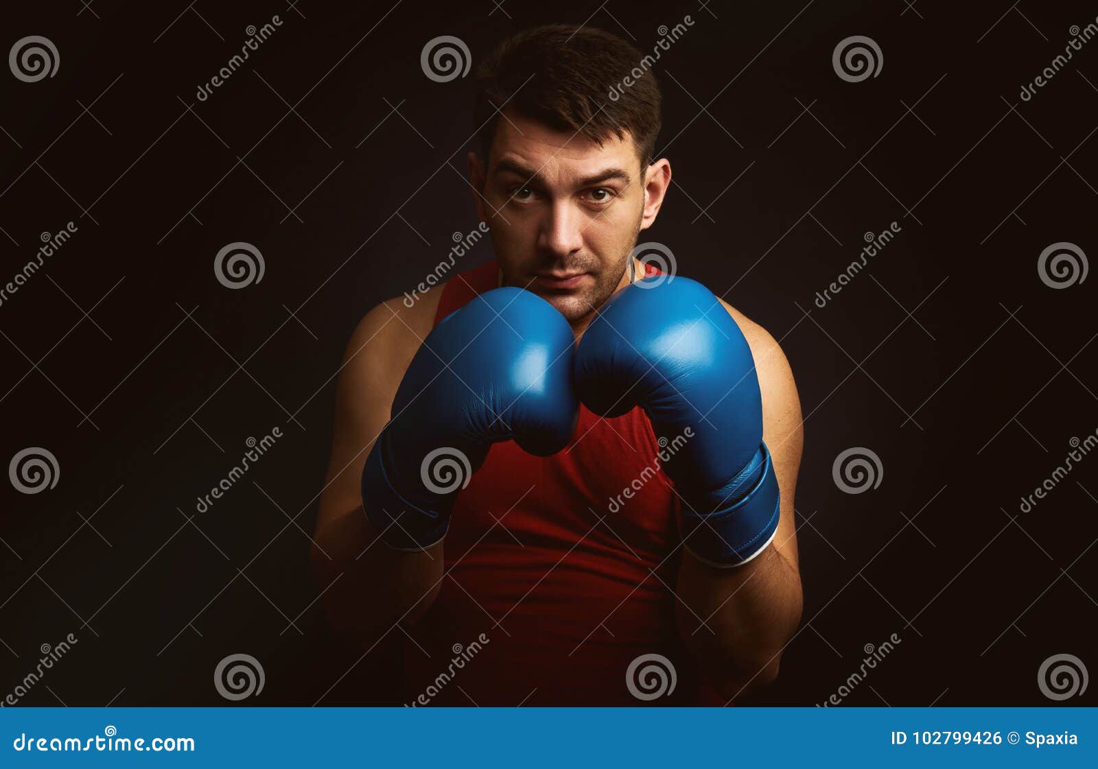 Man in boxing gloves stock photo. Image of healthy, isolated - 102799426