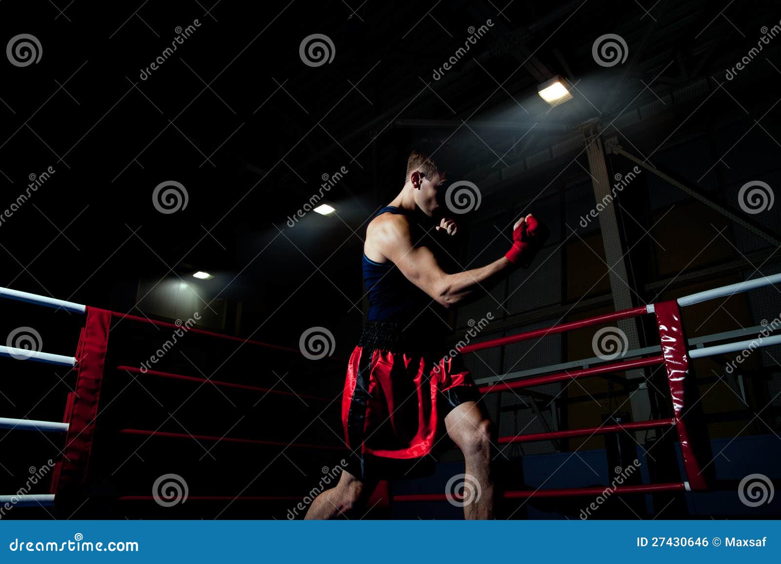 Man boxing in gym stock photo. Image of boxing, determination - 27430646