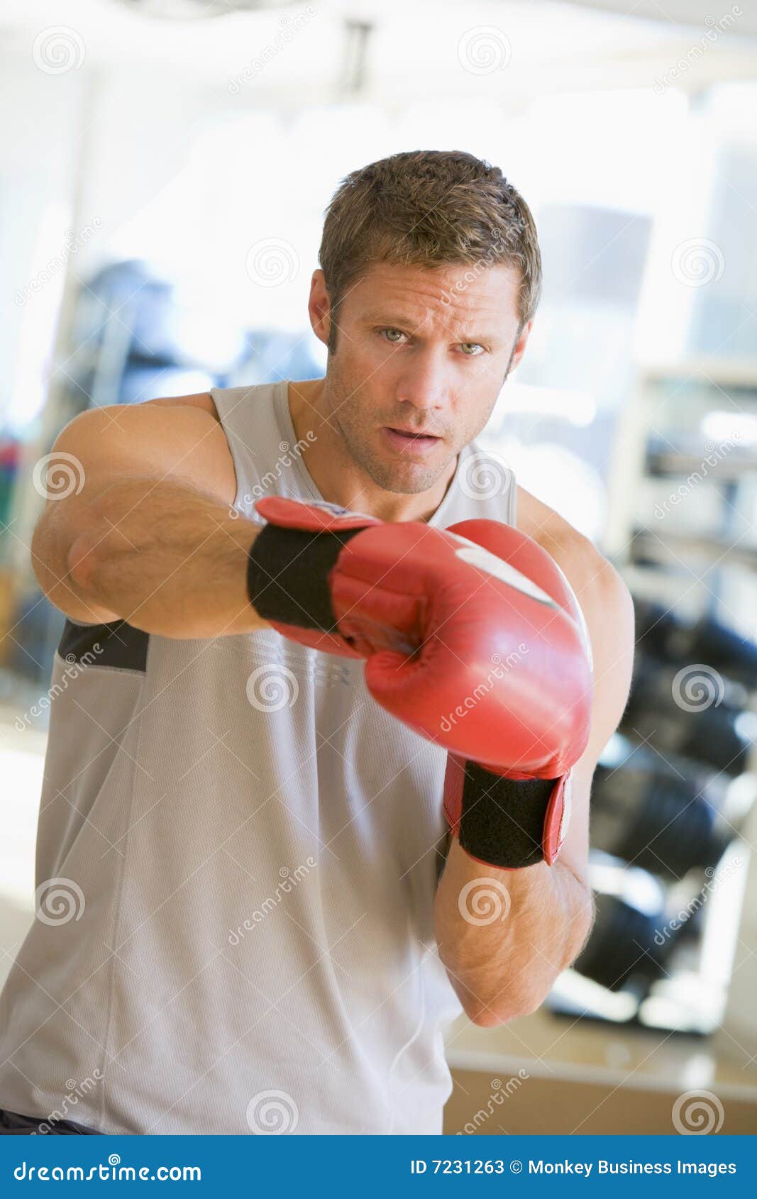 Man Boxing at Gym stock image. Image of exercising, boxer - 7231263