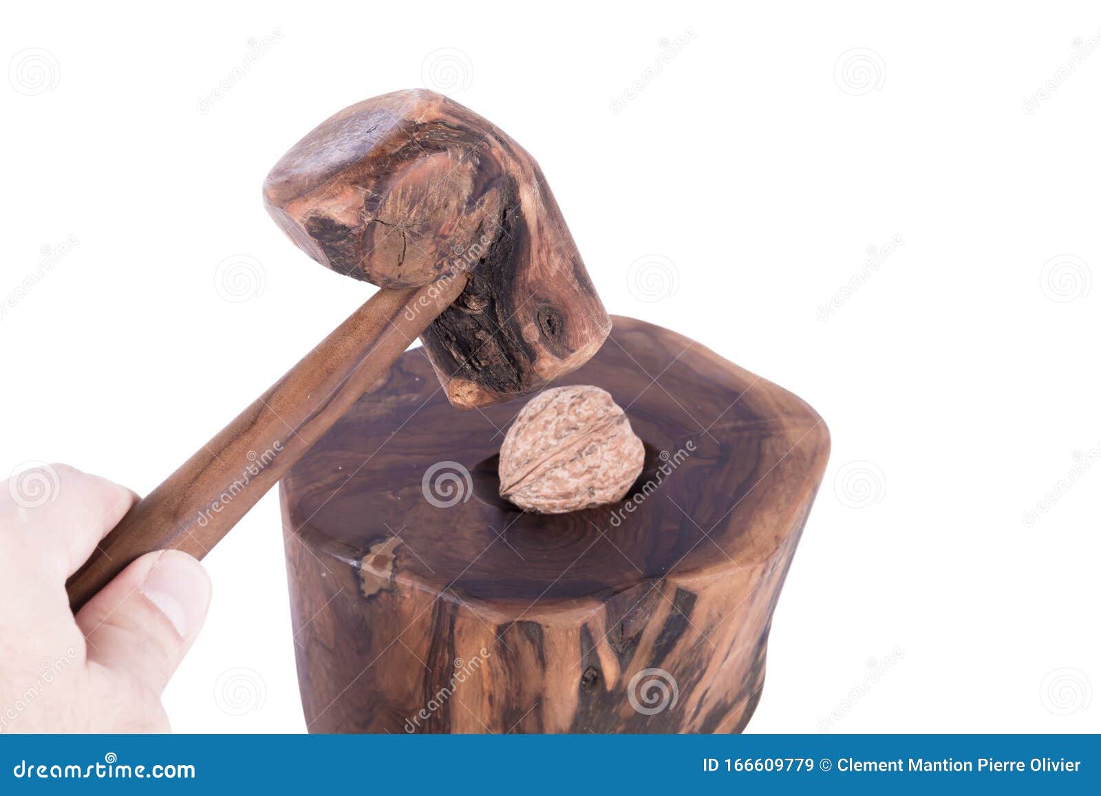 Man Breaking a Nut in a Nutshell Stock Image - Image of christmas ...