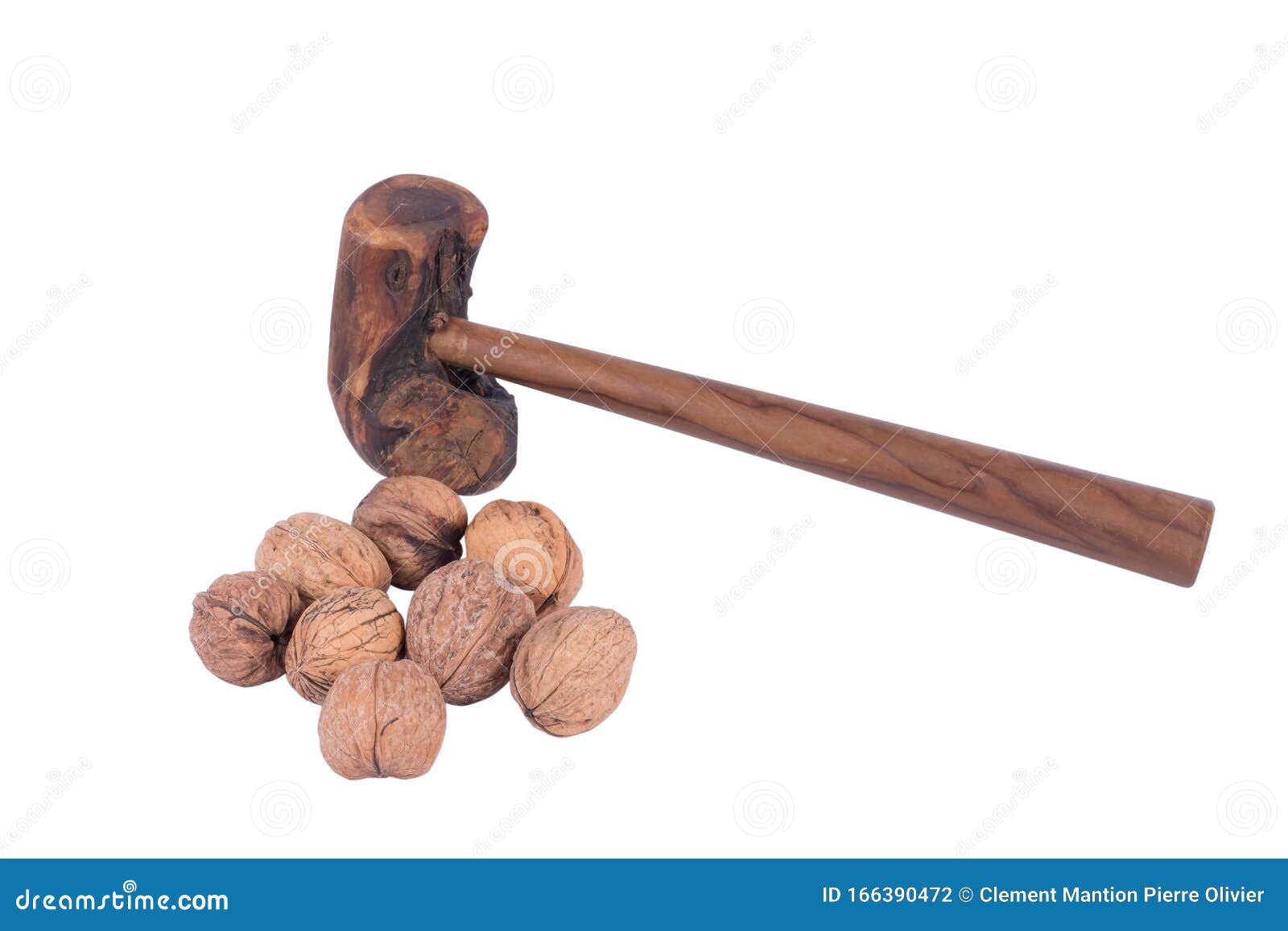 Man Breaking a Nut in a Nutshell Stock Photo - Image of brown, isolated ...