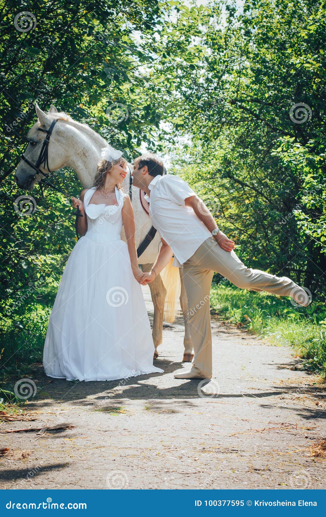 Man, Bride and White Horse in the Park Stock Image - Image of happiness ...