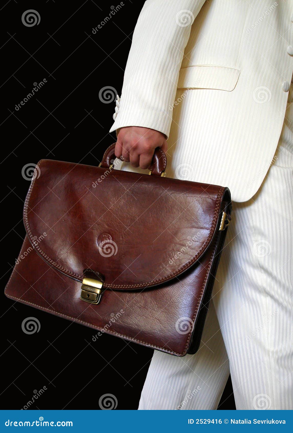 Man with brief case stock photo. Image of handle, businessman - 2529416