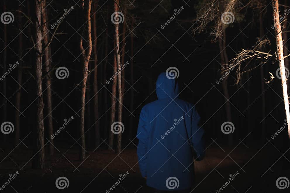 Man with Bright Flashlight in Forest Stock Image - Image of deep, male ...
