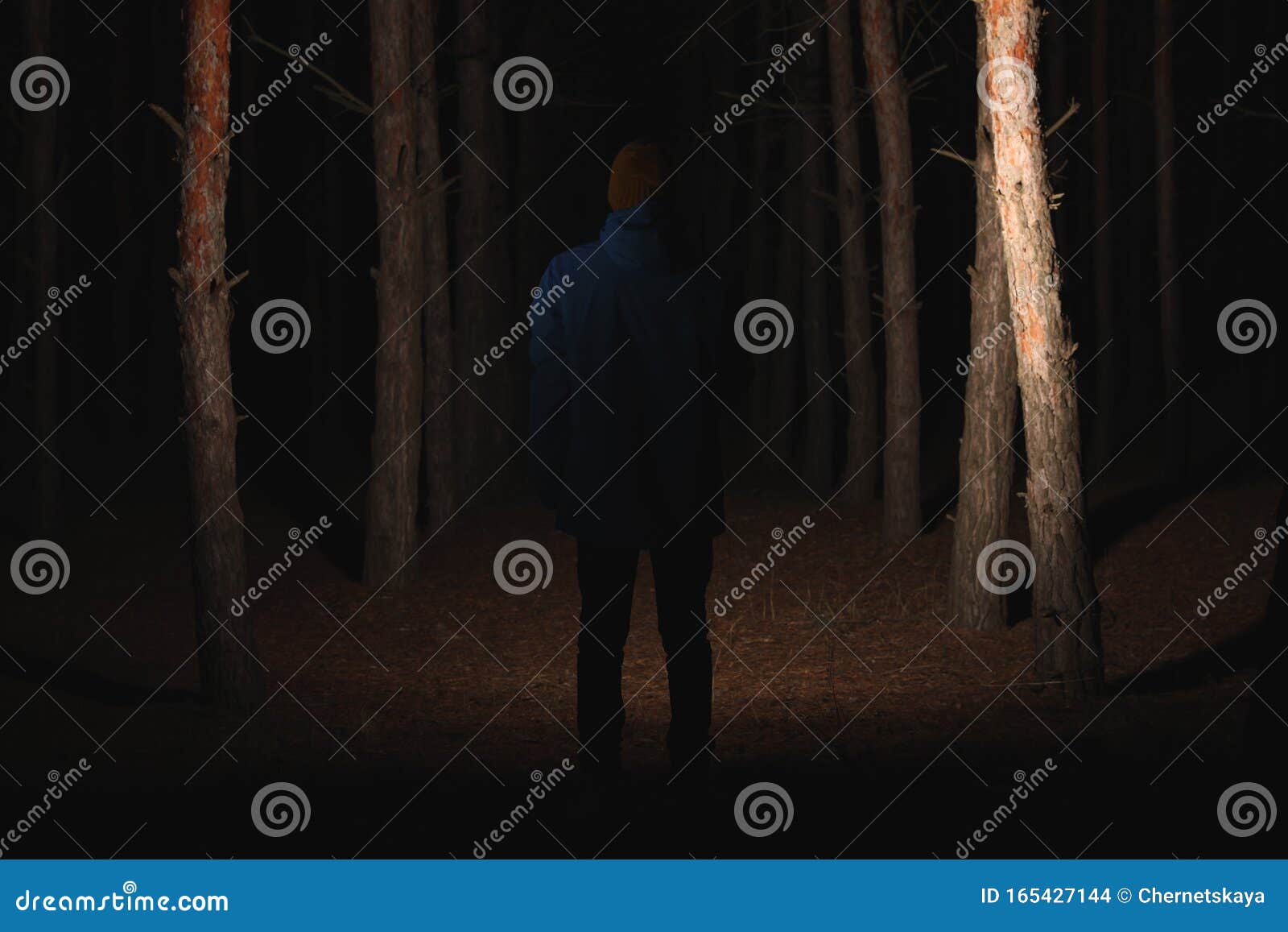 Man with Bright Flashlight in Forest Stock Photo - Image of equipment ...