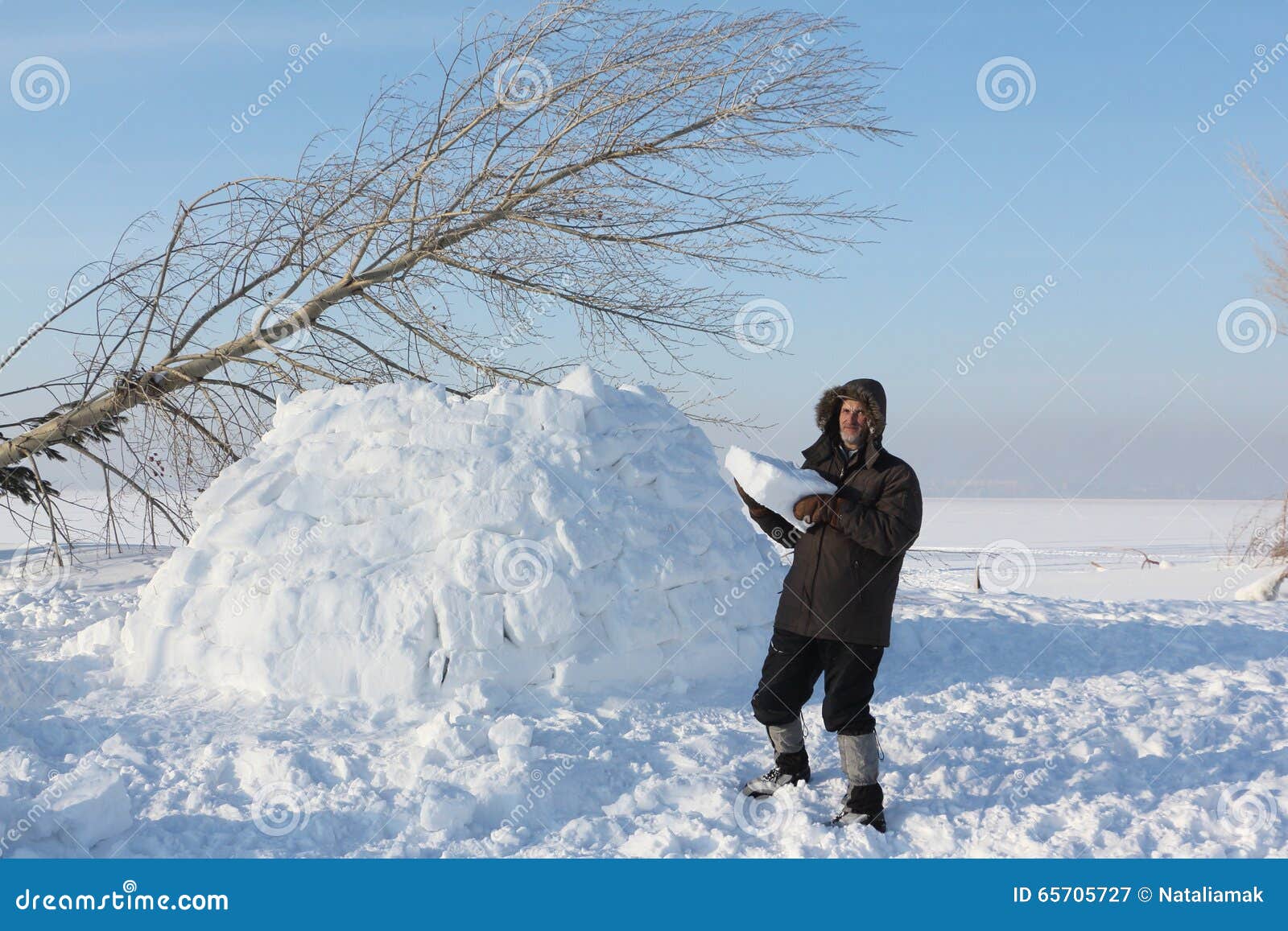 The Man Building an Igloo on a Snow Glade in the Winter Stock Image ...