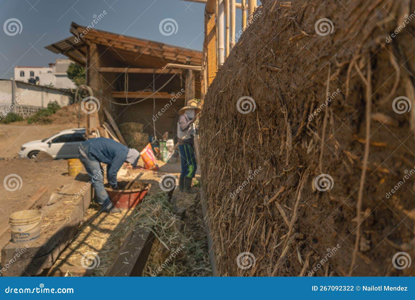Man Building a Wall with Bioconstruction Techniques Stock Photo - Image ...