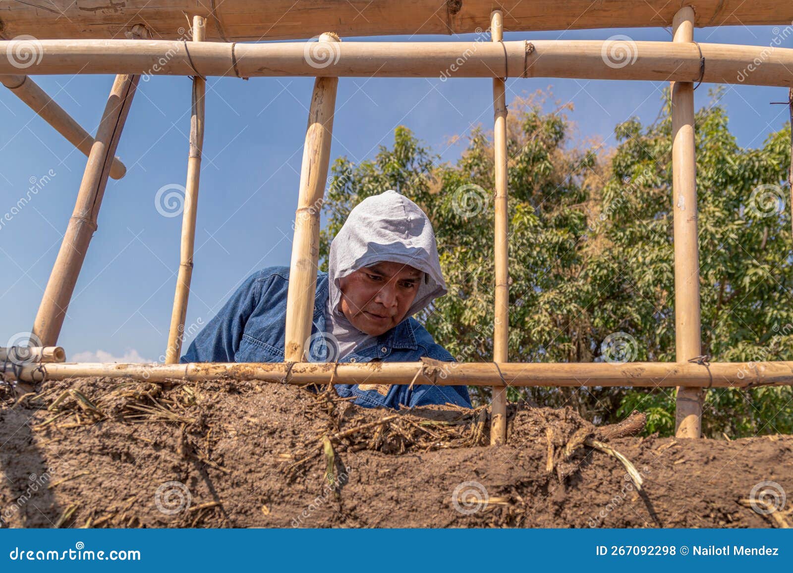Man Building a Wall with Reed and Mud, Bioconstruction Stock Photo ...