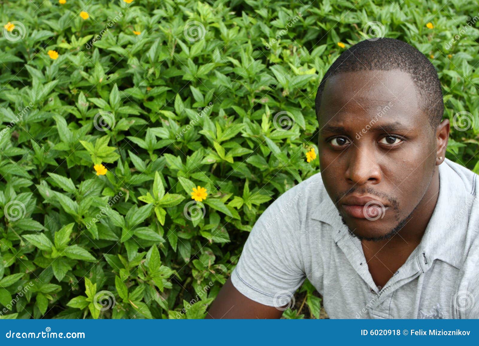 Man with Bush Background stock photo. Image of portrait - 6020918