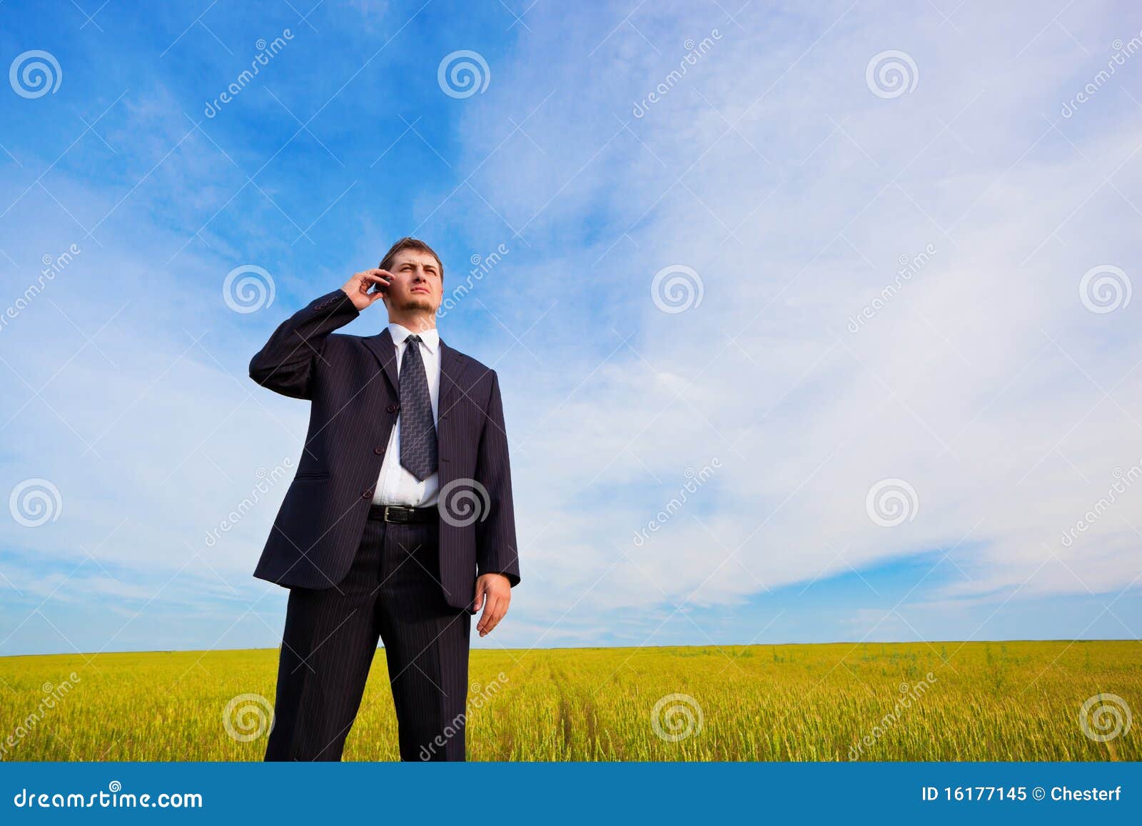 Man calling stock image. Image of businessman, rural - 16177145